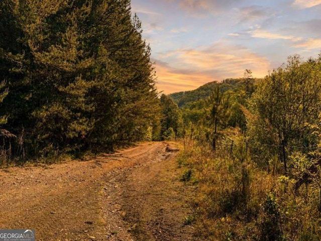 40 Ac 2 Valley Lake Rd Unit Multiple, Mineral Bluff, GA 30559
