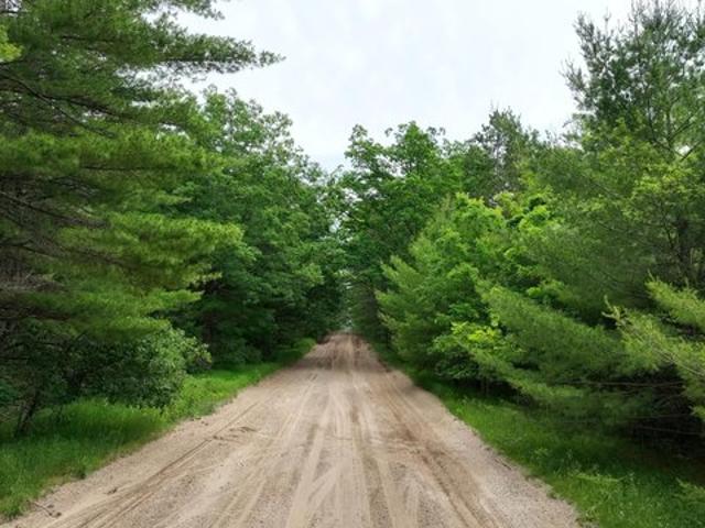 40 Ac E Pioneer Rd, Roscommon, MI 48653