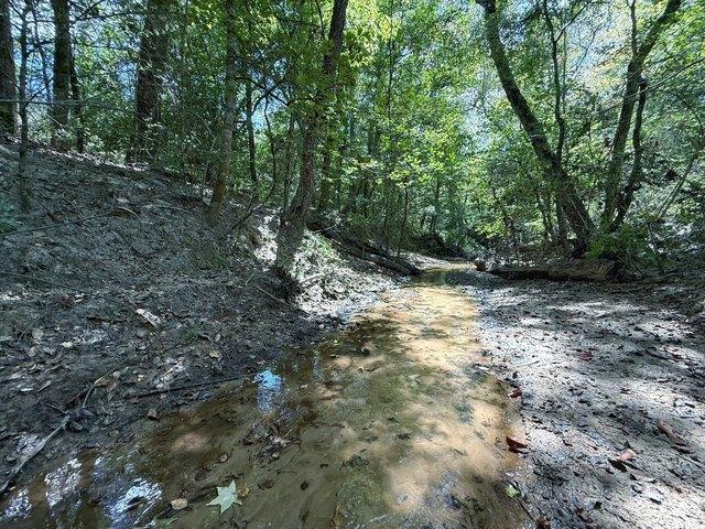 40 Ac Pr # 2190, Buffalo, TX 75831