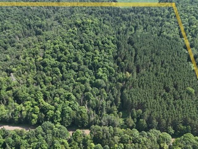 40 Ac Sunrise Rd, Merrill, WI 54452