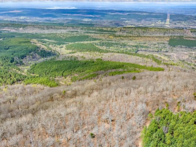 40 Acres