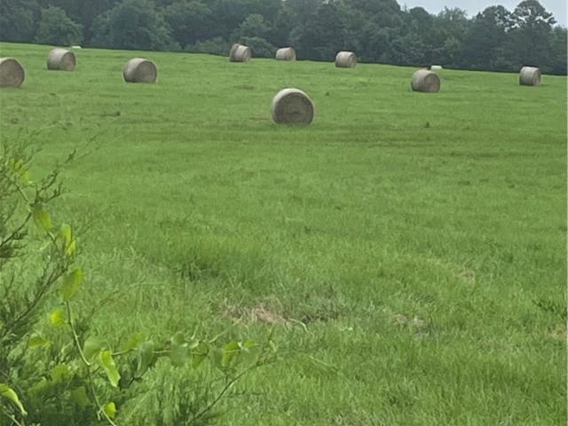 40 acres vacant land County Road 3411
