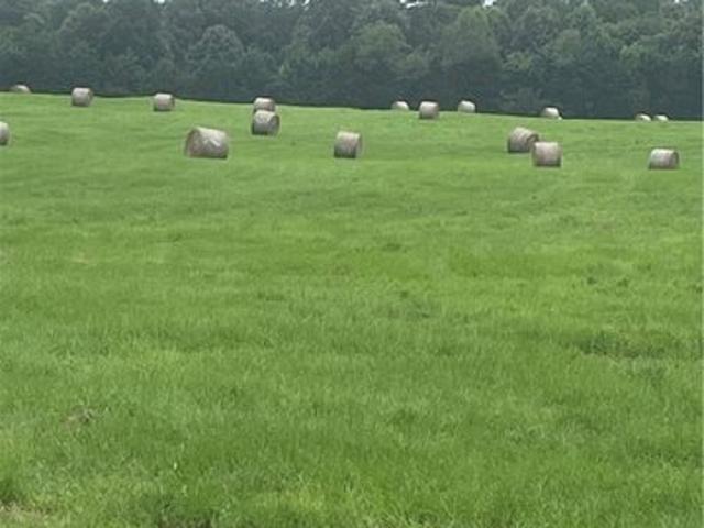 40 Acres Vacant Land, Clarksville, AR 72830