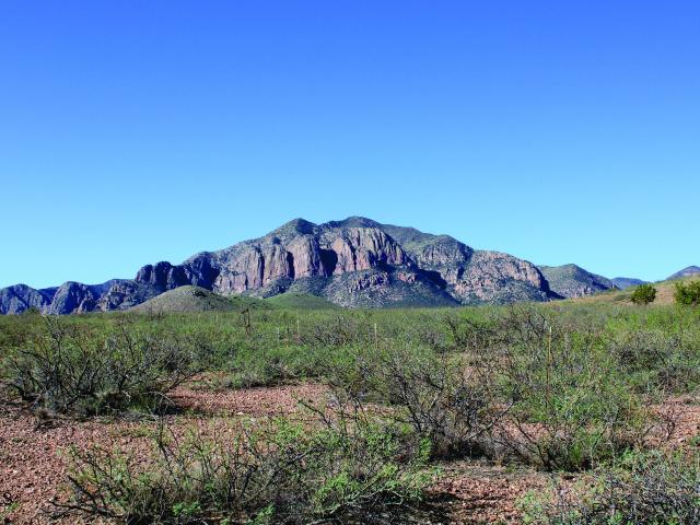 40 acres W Ryolite Rd, Unit 199, San Simon, AZ 85632 | MLS #6917 | Compass