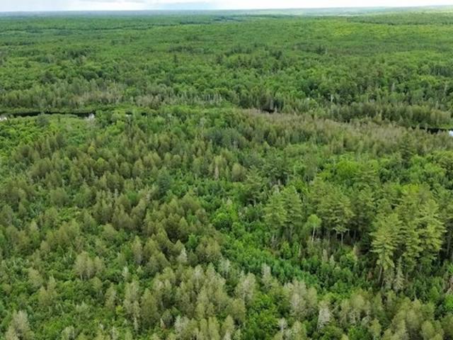 40 Acres Wide Waters Rd, Amasa, MI 49902