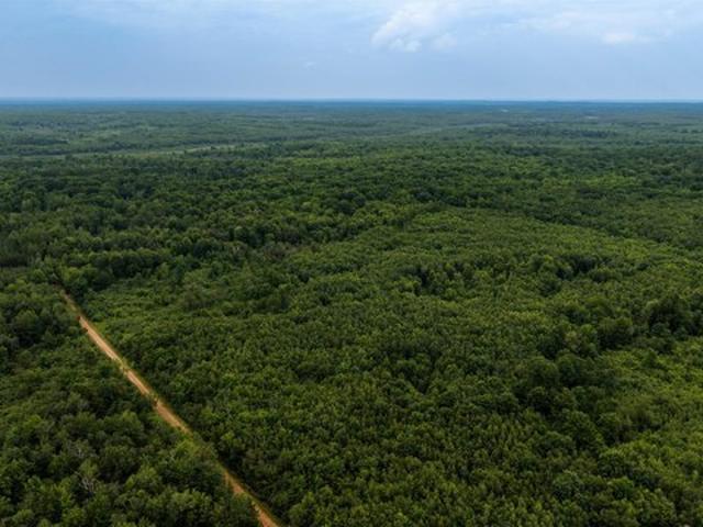 40 Acres Zogata Rd, Kronenwetter, WI 54455