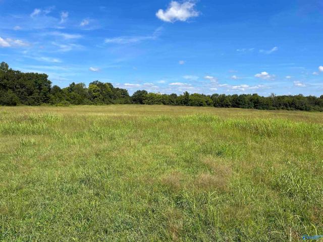 40 Acres County Road 205