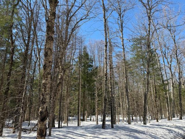 40 Acres Dukes Road