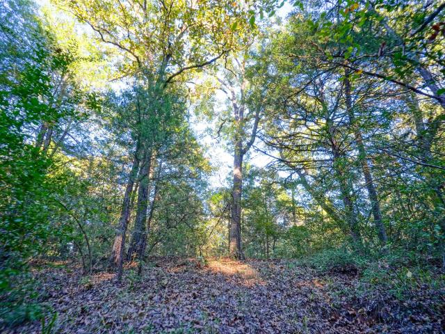 40 Acres FCR 930