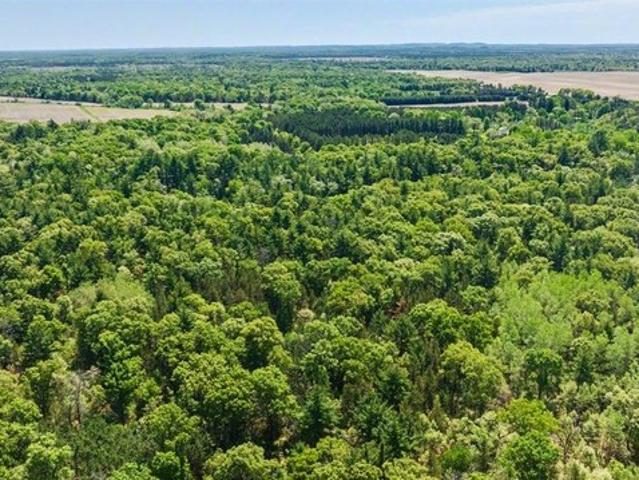 40 Acres Highway 13, Friendship, WI 53934