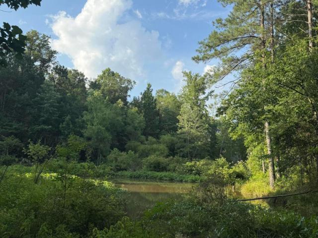 40 Acres Hwy 35