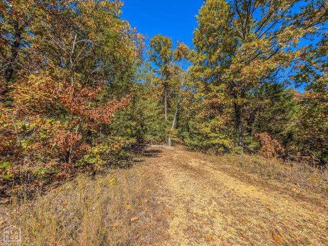 40 Acres Mc #113 Road