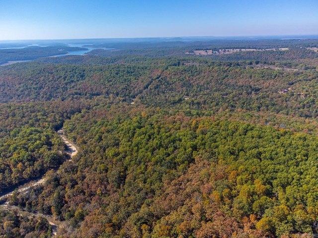 40 Acres Mc Rd # 113, Oakland, AR 72653
