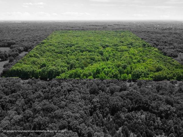 40 Acres N Phillipe Rd, Hallsville, MO 65255