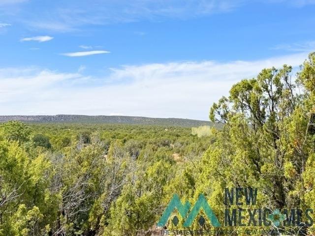 40 Acres of County Rd # B29, Ribera, NM 87560