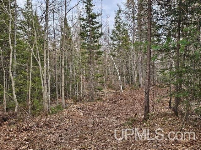 40 Acres off County Road Gx, Ishpeming, MI 49849