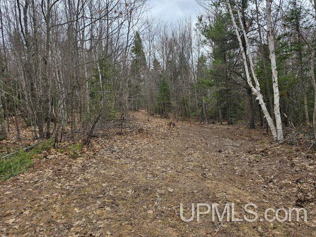 40 acres off Co Rd GX Road