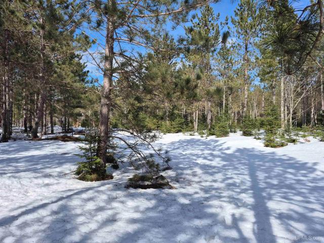 40 Acres off Flodin Road