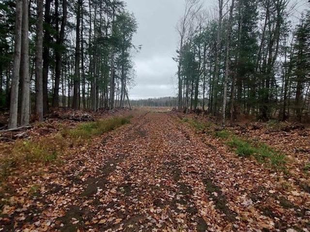 40 Acres off Mangum Rd, Marquette, MI 49855