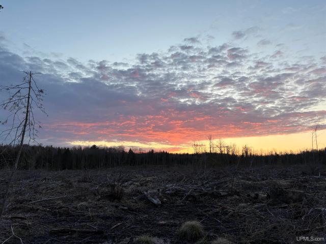 40 +/ Acres off Mangum Road
