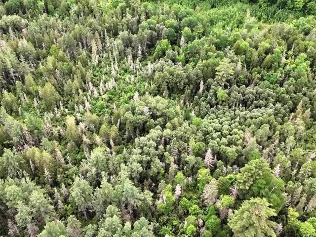 40 Acres Off Wide Waters Road