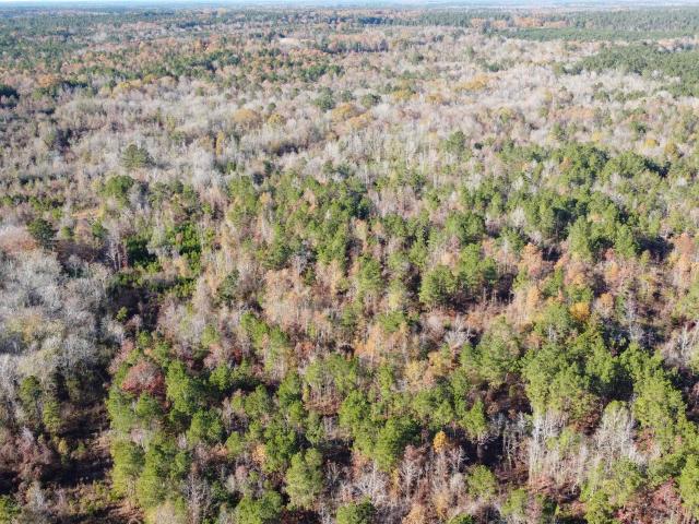 40 acres Ouachita 82 Road