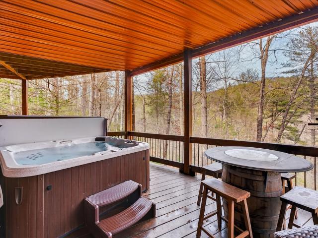 40 Adelaide Trl, Blue Ridge, GA 30513 | MLS #425068