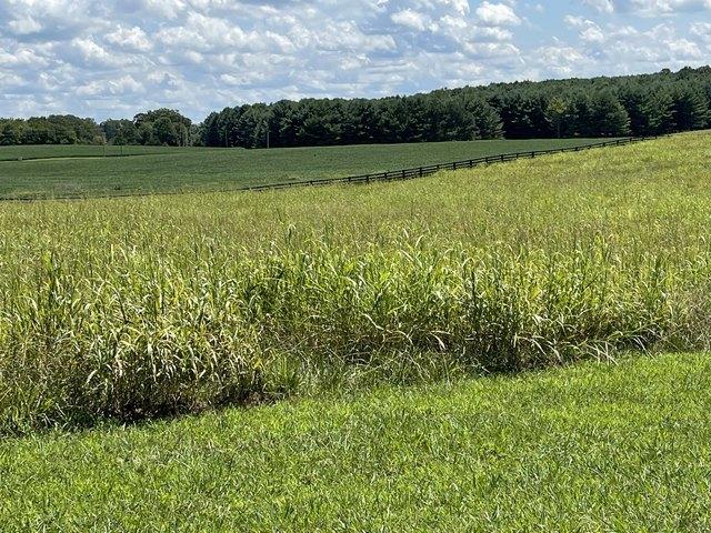 40 Beacon St, Russell Springs, KY 42642