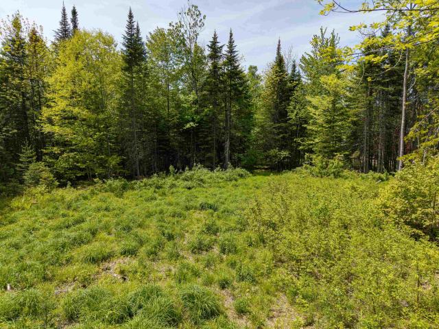 40 Bear Paw Trl, Littleton, NH 03561 | MLS #5072