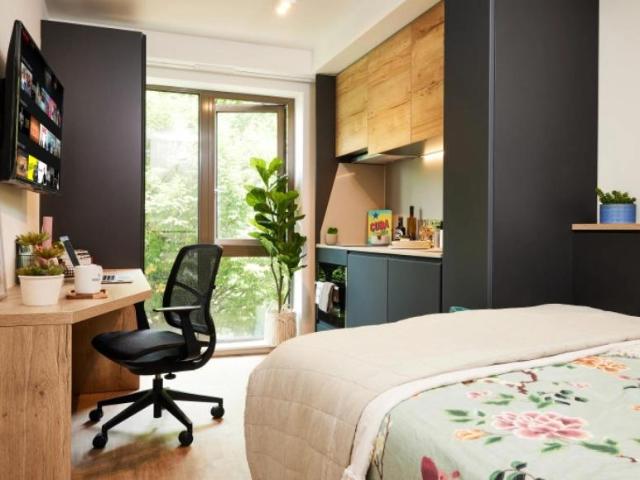 40 Bedroom Shared Living/roommate Coventry Coventry 90561200