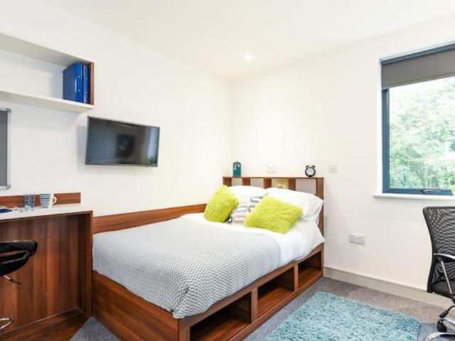 40 Bedroom Shared Living/roommate Durham Durham LS90561688