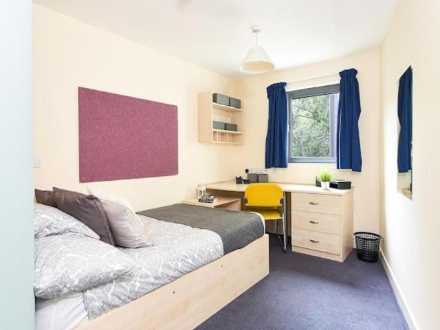 40 Bedroom Shared Living/roommate Glasgow Glasgow 90561703