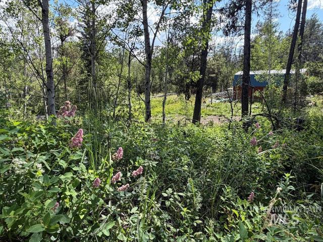 40 Black Pine Place