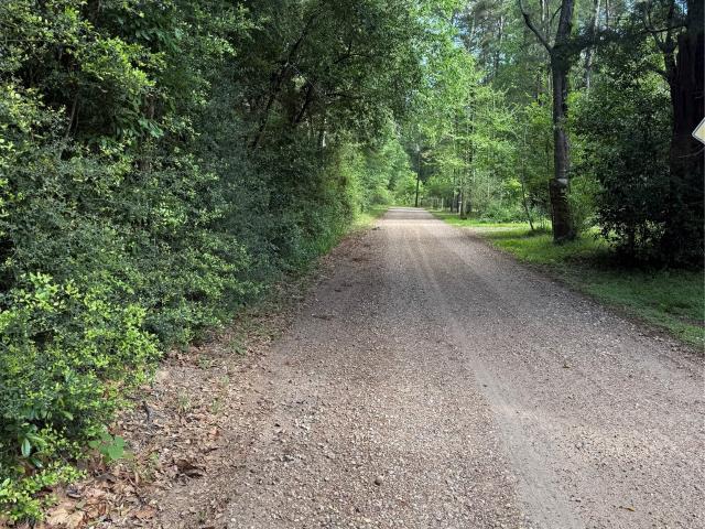 40 County Road 2203