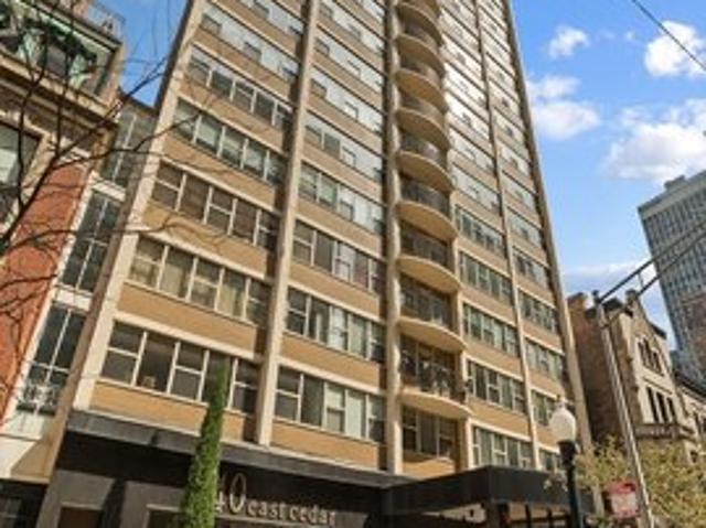 40 E Cedar St Apt 18A, Chicago, IL 60611