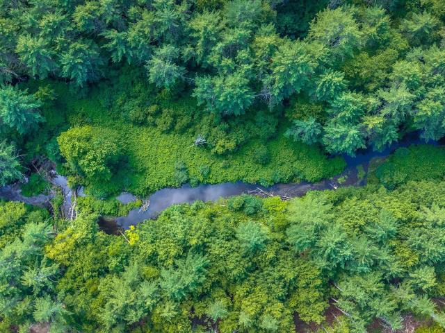 40 E Putney Brook Rd, Putney, VT 05346 | MLS #5099