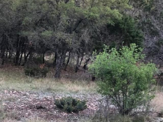 40 ef White Tail Run, Uvalde, TX 78801 | MLS #441593 | Compass