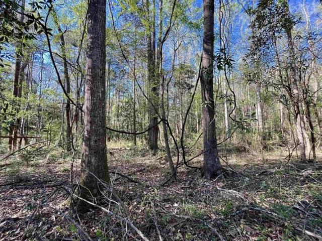 40 Lillian Ln, Ethel, LA 70730