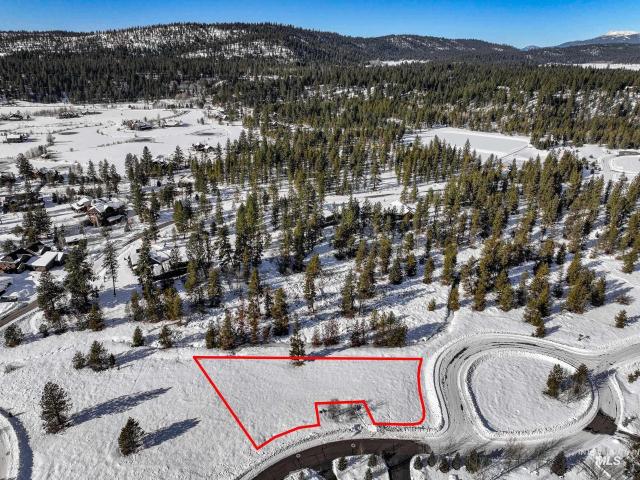 40 Moonflower Ct