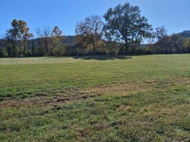 40 Penters Bluff River Ridge Rd, Guion, AR 72540