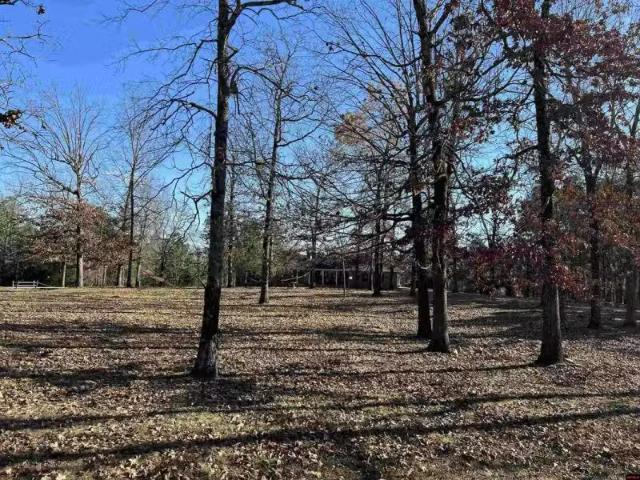 40 PINE FOREST TRL, JORDAN, AR 72519 Single Family Residence F.