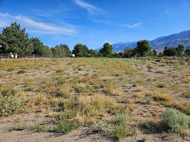 40 Ronda Ln, Chalfant Valley, CA 93514