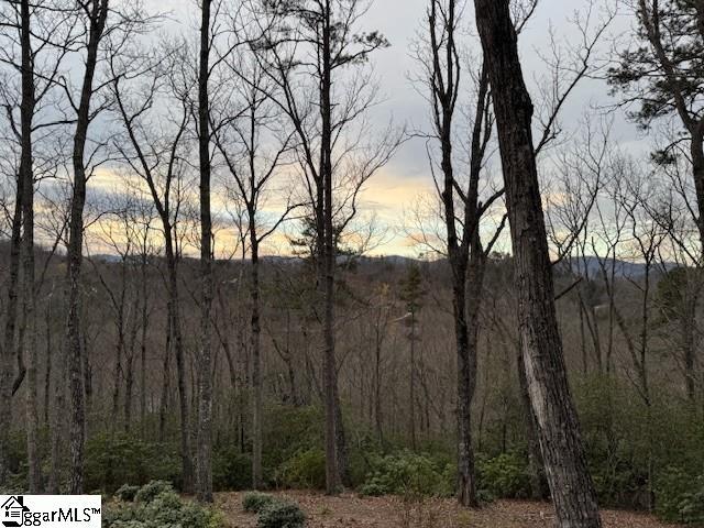 40 Secret Hollow Trail
