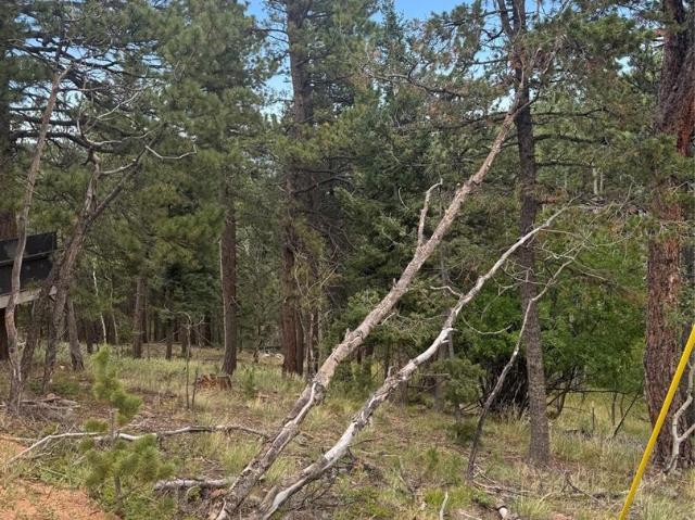 40 Sequoia Trail