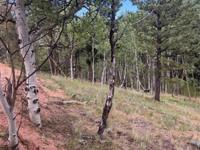 40 Sequoia Trl, Woodland Park, CO 80863
