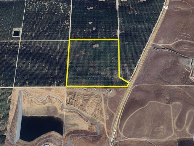 40AC Organic Navel, Delano, CA 93215