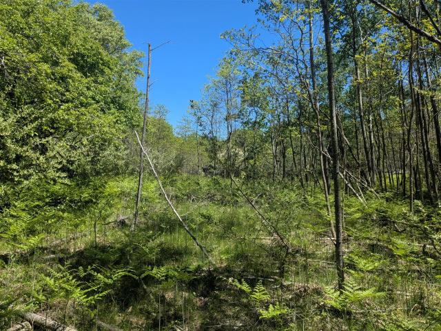 40ac V/L Clements Road