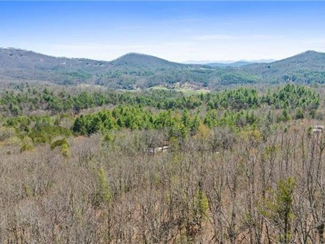 40B Synacia Rd, Mineral Bluff, GA 30559