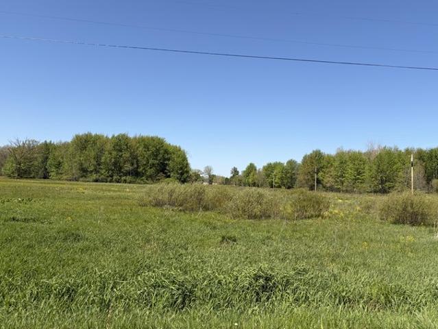 40th St Parcel A, Paw, MI 49079