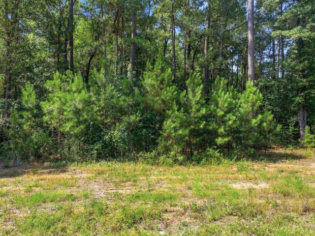 4107 Highway 378